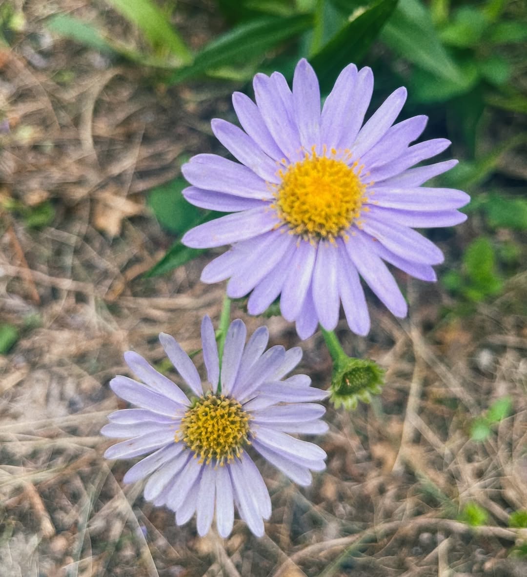 Koki,、ハイブランドを“さらり”と着こなす夏のカジュアルコーデ披露 | ENTAME next - アイドル情報総合ニュースサイト